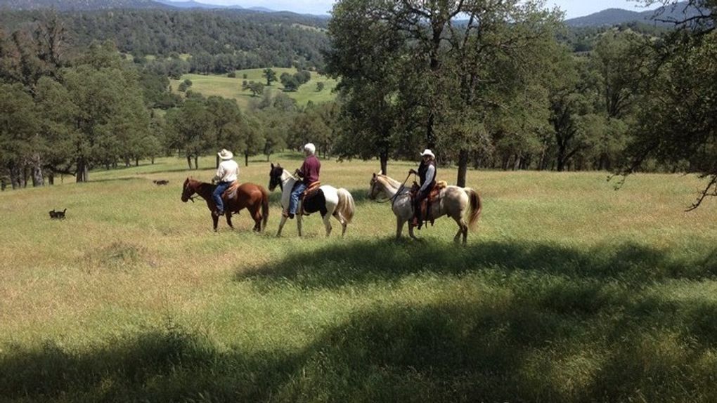 J Bar K Ranch - Horseback Riding & Ranch Stay near Valley Springs CA